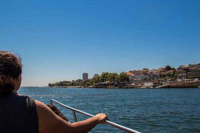 Porto Six Bridges Panoramic Cruise on the Douro River - The Sum Up