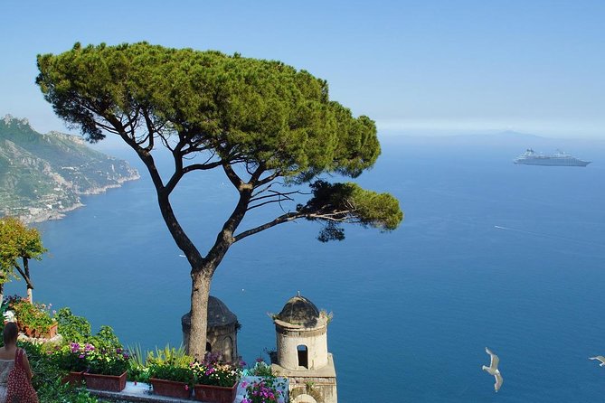 Positano, Sorrento & Pompeii One Day Trip from Naples with Driver - Who Is This Tour Best Suited For?
