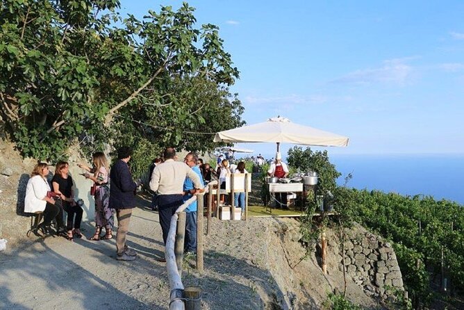 Premium Ischia Wine Tasting Experience with Transfer Included - The Tasting Experience: Four Wines and Local Flavors
