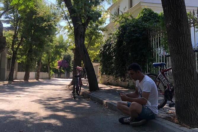 Princess Islands Tour With Lunch and Guide - What Travelers Say: Insights from Real Reviews