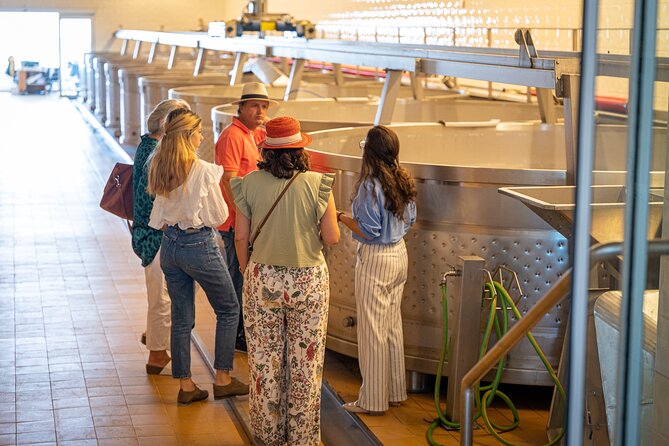 Private Arrábida and Comporta Wine Full Day Tour From Lisbon - Practical Details and What to Expect