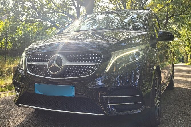 Private Arrival Transfer: Schiphol Airport Amsterdam - What to Expect from the Experience