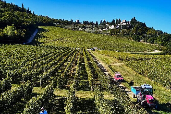 Private Chianti Tour and Wine Tasting - The Castle at Verrazzano: History, Tasting, and Local Flavors