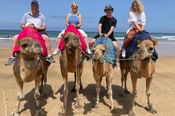 Private Day Tour in Gibraltar and Tangier, Morocco from Malaga - Practical Tips for Making the Most of the Tour