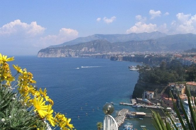 Private Day Tour: Sorrento, Positano, Amalfi, Ravello from Naples - What Makes This Tour Stand Out?