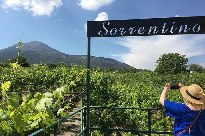 Private Educational Wine Tour, dedicated sommelier and trasport