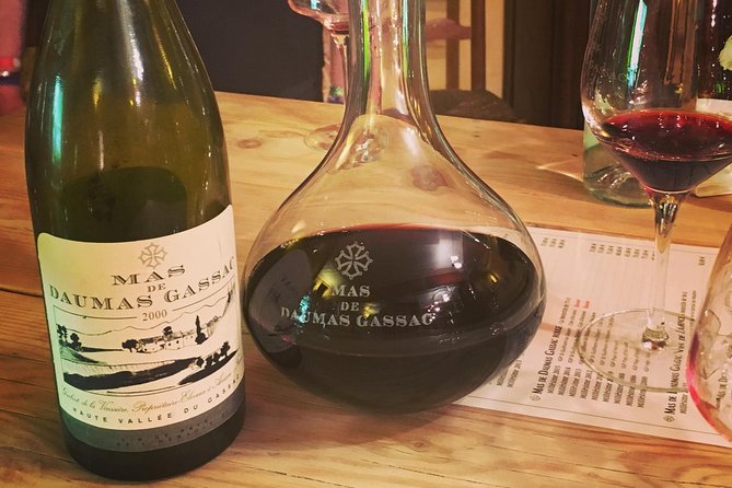 Private full day wine tour and Medieval Village from Montpellier