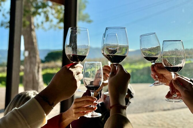 Private Full-Day Wine Tour Arrábida from Lisbon with Tastings - Transportation & Overall Value