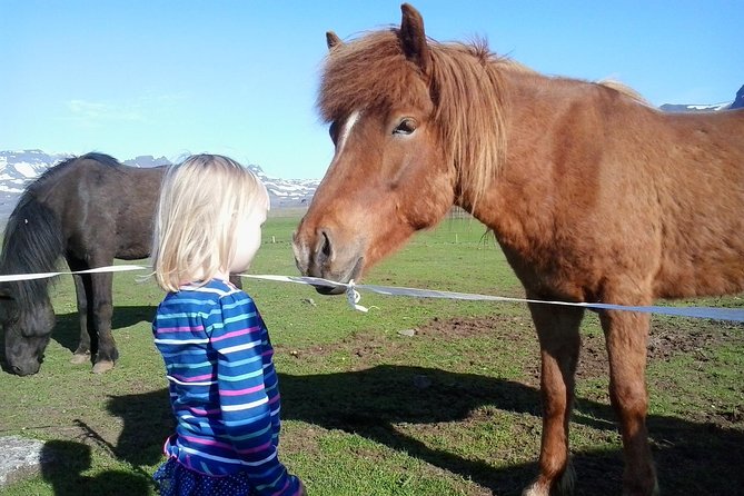 Private Golden Circle Tour from Reykjavik - What the Tour Offers for the Price
