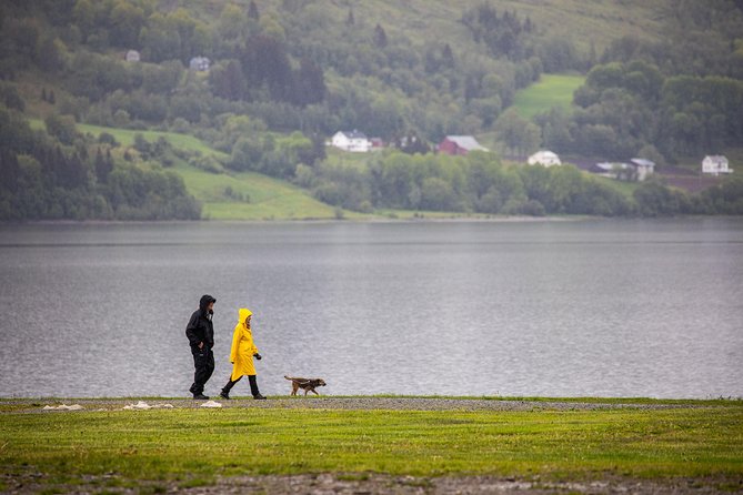 PRIVATE GUIDED TOUR: Norway's Highlights  Viking Special, 11-12 hours  SUMMER - Who Is This Tour Best For?