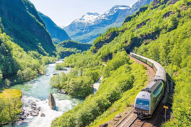 Private guided tour - Premium Nærøyfjord Cruise and Flåm Railway - Our Impressions of Each Stop