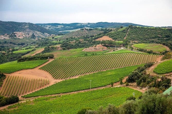 Private guided tour: Siena San Gimignano and Chianti - Cost, Value, and Practicalities
