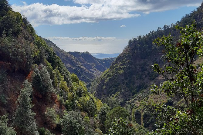 Private Guided Walk Ponta do Sol Levada Moinho - The Trail: A Perfect Balance of Nature and Man-Made Wonders