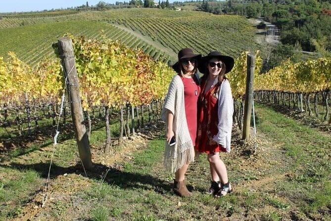 PRIVATE Half-Day Tour: Chianti Classico Wine Experience. - The Practicalities: What You Need to Know