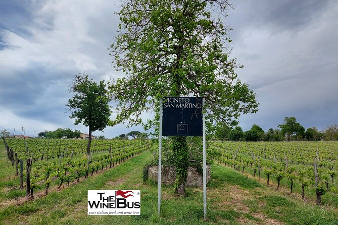 Private Irpinia Wine Tour from Sorrento with sommelier - Practical Aspects and Tips