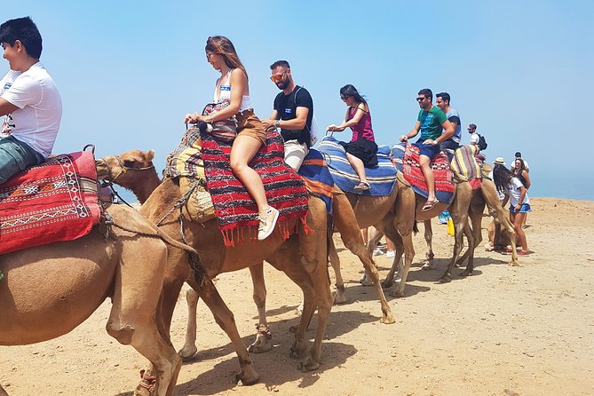 Private Morocco Day Tour: Tangier from Seville - What the Reviews Say