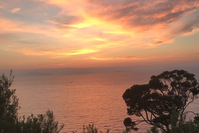 Private Night Transfer Amalfi Coast to Naples. - The Details of the Private Night Transfer Experience