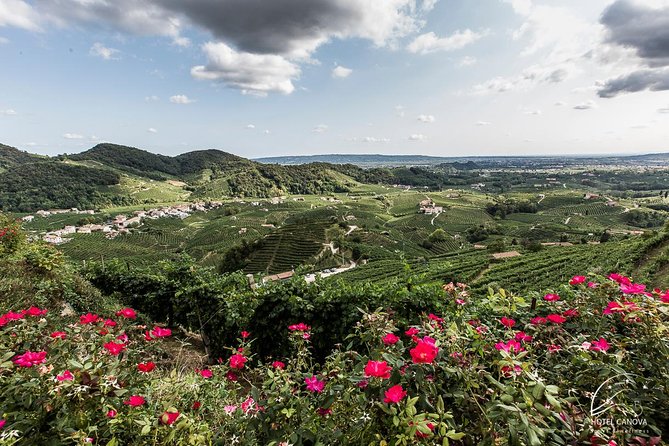Private Prosecco Tour, with a certified Sommelier - Is This Tour Worth the Price?