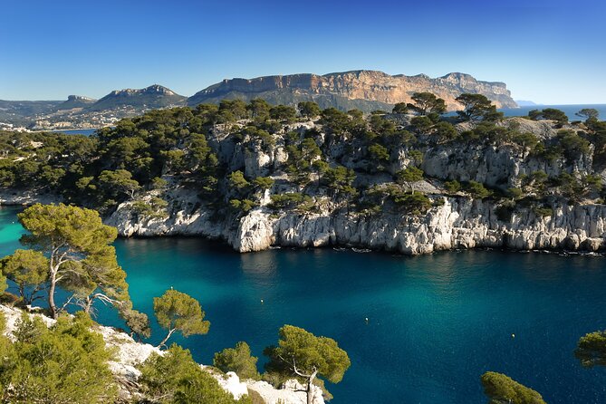 Private Shore Excursion: Aix, Marseille, and Cassis Driver Guides