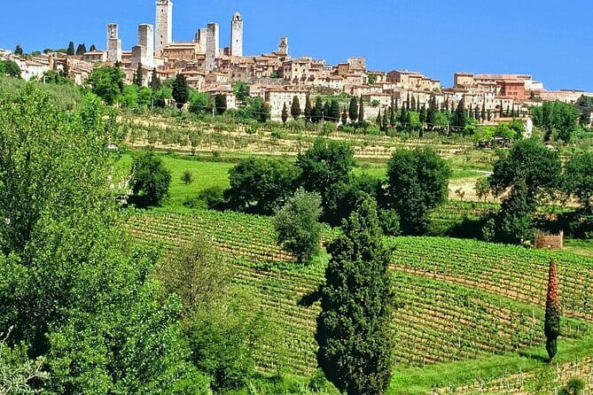 Private Siena, S. Gimignano, Chianti Road and Wine Tasting - Who Should Consider This Tour?