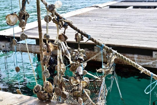 Private Tour Experience Dubrovnik North-West Countryside & Riviera - Practical Details for Travelers