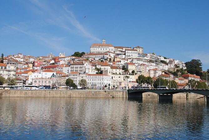 Private Tour: from Lisbon to Porto; visit to Óbidos, Fátima, Coimbra, Aveiro - Pricing and Value