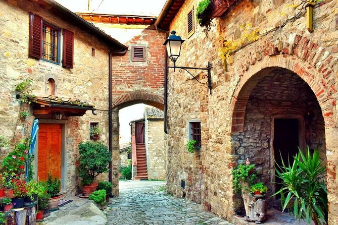 Private tour from Livorno port to Chianti Wine Region