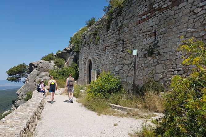Private Tour - Hike and wine tasting at the Penedés - Practical Details: Transportation, Timing, and Group Size