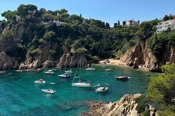 Private Tour in Marimurtra Garden and Blanes City - A Closer Look at the Itinerary