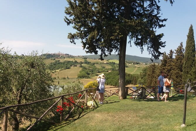 Private Tour in San Gimignano and Chianti Day Trip from Florence - What Makes This Tour Special?
