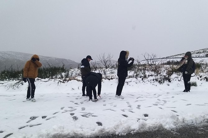Private Tour through Serra da Estrela Park and its famous cheese - The Highest Village: Sabugueiro