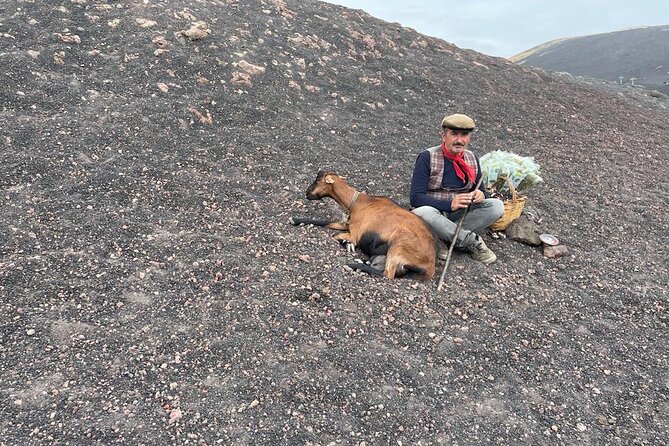 Private Tour to Taormina and Isola Bella - Value and Pricing