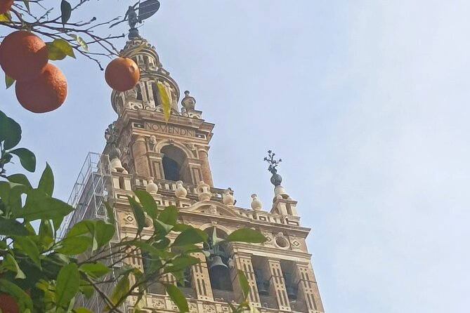 Private Tour with Local Guide to know the Seville Essential - Who Should Consider This Tour?