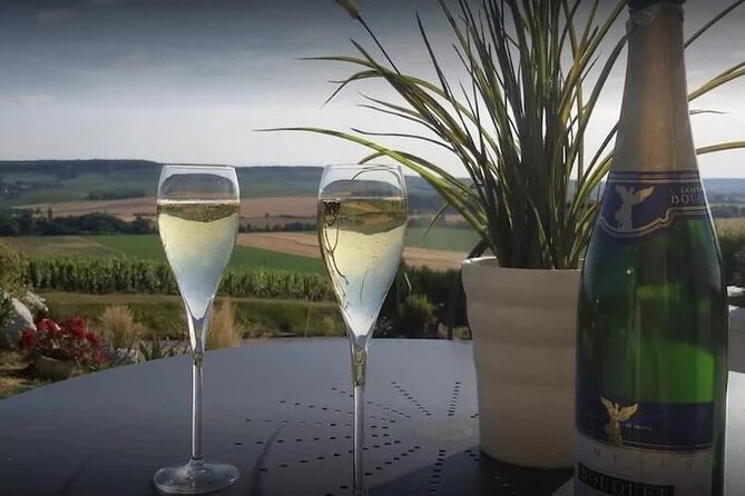 Private Transfer: Reims / Champagne to Paris Airport CDG by Van
