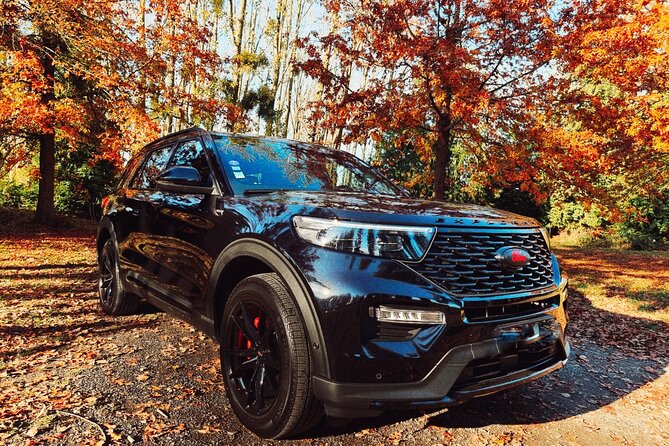 Private transfer to Reims or Epernay : one way OR 8 hours tour - The Itinerary Options and What to Expect