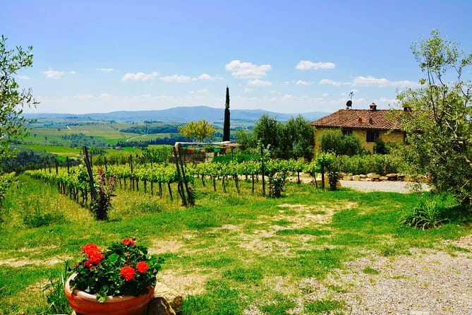 Private Tuscany Day Tour: Siena and Chianti Wine Region from Florence - A Carefully Planned Itinerary