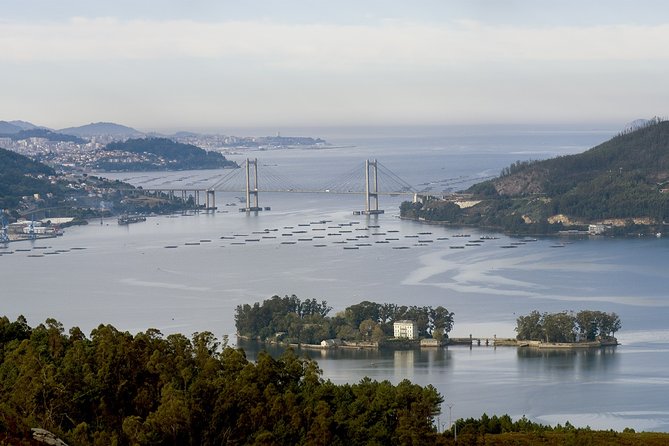 Private walking tour in Vigo - Final Thoughts: Is It Worth It?