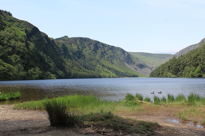 Private Wicklow Mountains Day Tour - Who Will Love This Tour?