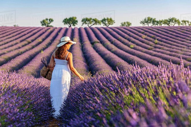 Provence and Lavender - private & Guided Full Day Tour - Who Should Book This Tour?