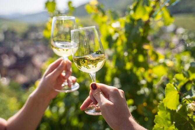 Provence, Vineyards and Lavender Fields Private Day Trip - What the Tour Includes, and What It Doesn’t