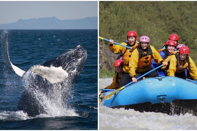 Reykjavik Whales & White Water Rafting Adventure - Who Should Consider This Tour?