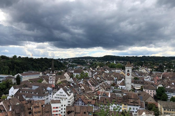 Rhine Falls and Stein am Rhein (Private Tour) - The Sum Up