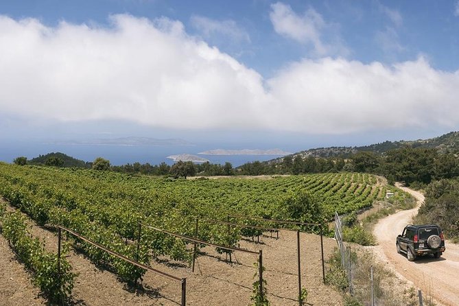 Rhodes Uncharted South Safari: Mountains, Monasteries, & Flavors - Final Thoughts