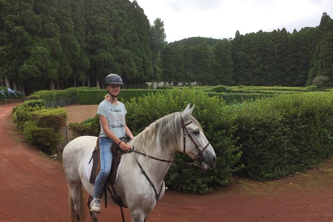 ride a volcano - go to the gardens in the woods