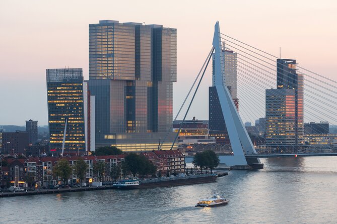 Rotterdam, Delft and The Hague Guided Tour from Amsterdam - The Hague: Politics, Royalty, and International Diplomacy