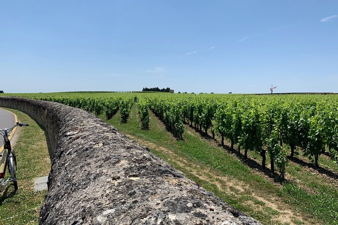 Saint-Emilion Afternoon Tour - 2 Wineries, tastings & delicacies
