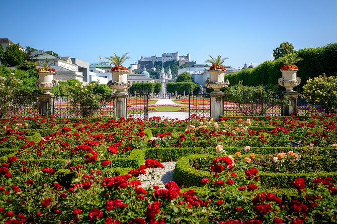 Salzburg and Lake District Day Tour from Munich - The Experience for Different Travelers