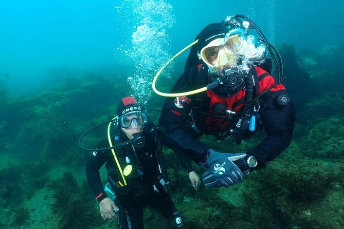 Scuba Diving Experience - Wrapping Up: Is This Tour Right for You?