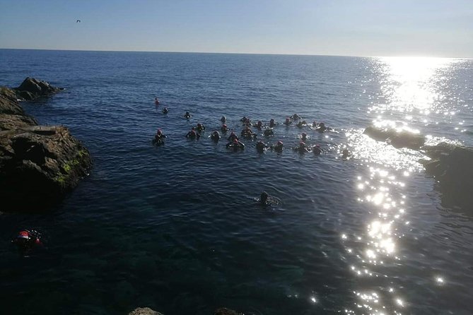 Scuba Experience