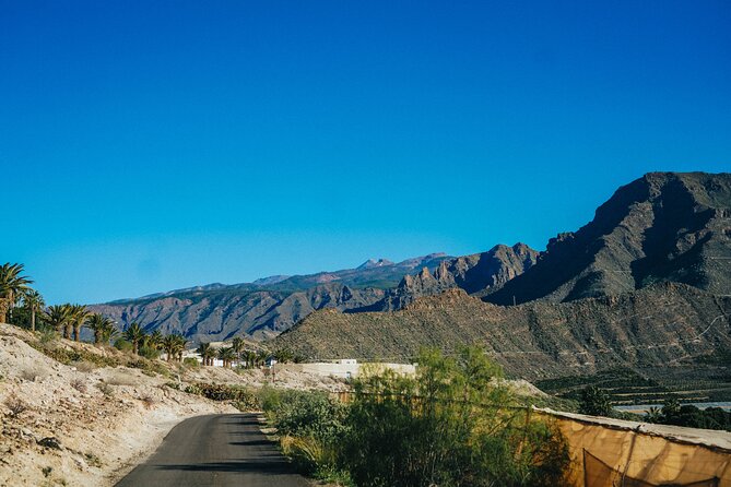 Secret Volcano Tour by Tuk Tuk in Costa Adeje - Frequently Asked Questions